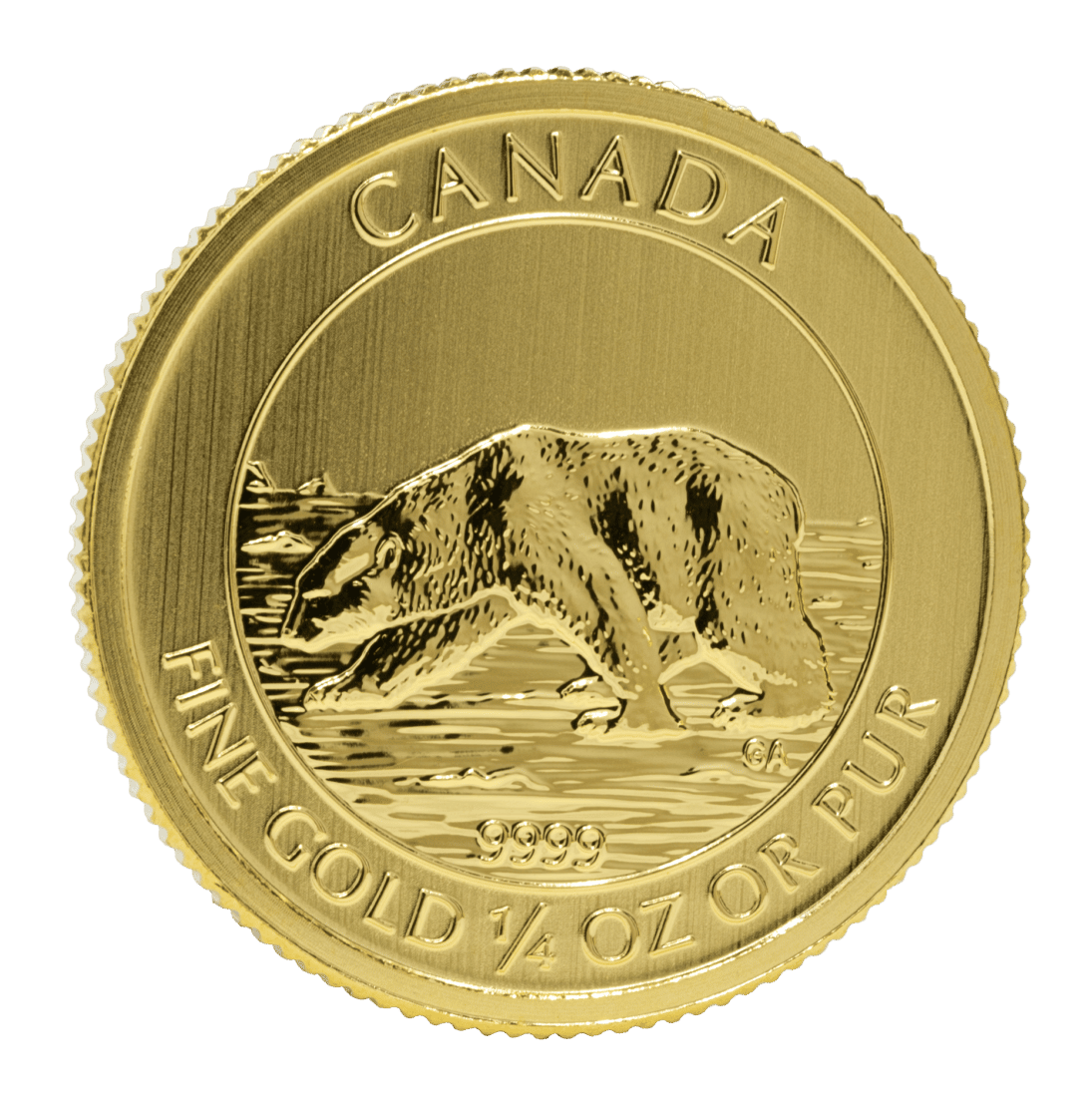 Gold Canadian Polar Bear 1/4 Ounce Coin - GSI Exchange