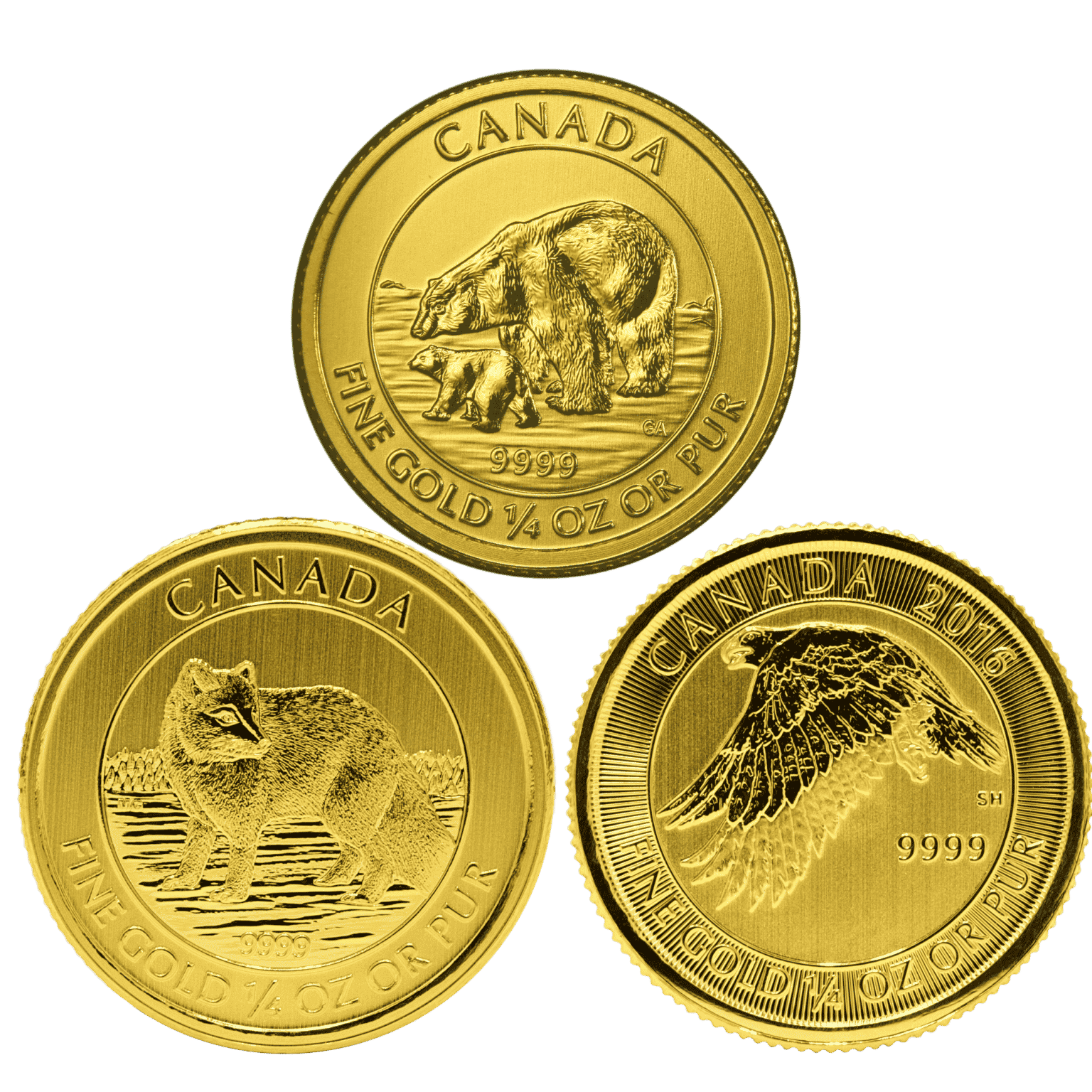 Gold Canadian Arctic Fox 1/4 Ounce Coin - GSI Exchange