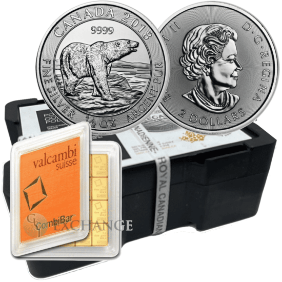 Silver & Gold Premium Barter Box 99.99% Pure Gem/BU - GSI Exchange